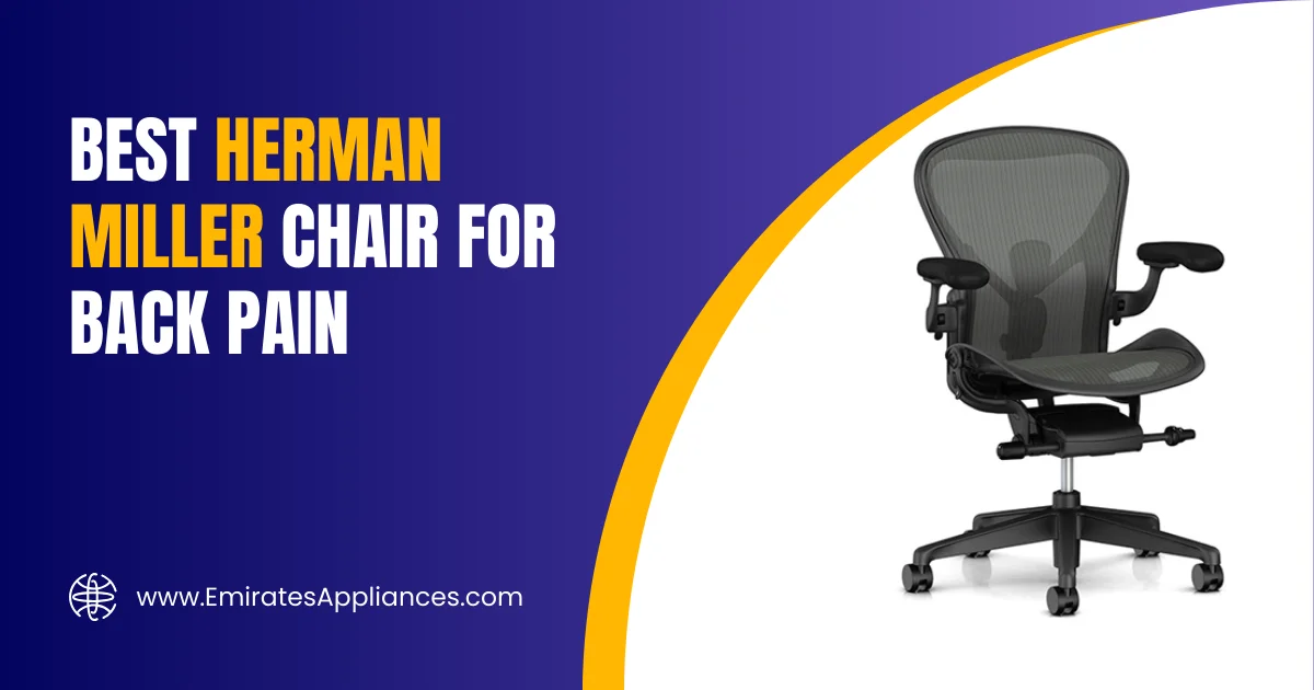 Best Herman Miller Chair for Back Pain - Emirates Appliances